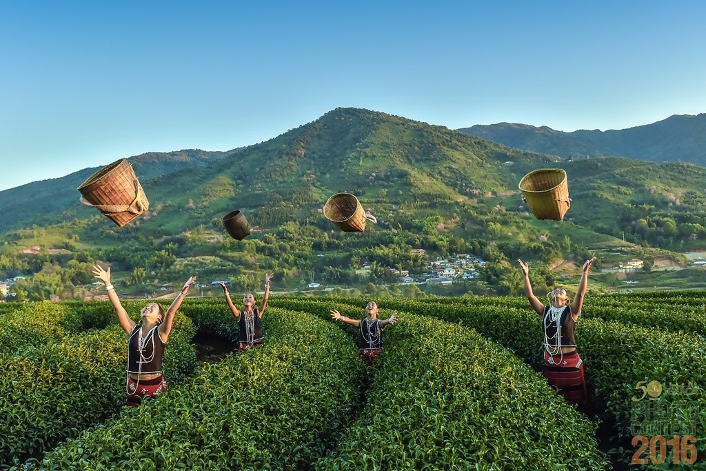 10th SEARCA Photo Contest (2016)